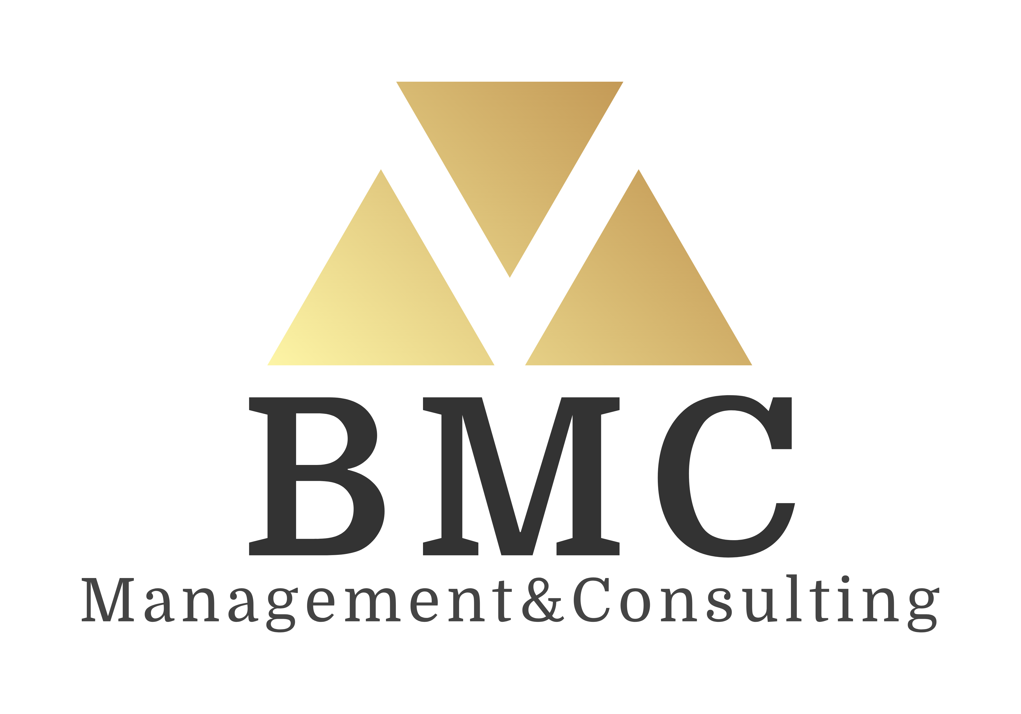 BMC Management&Consulting » Modifcări - ONRC